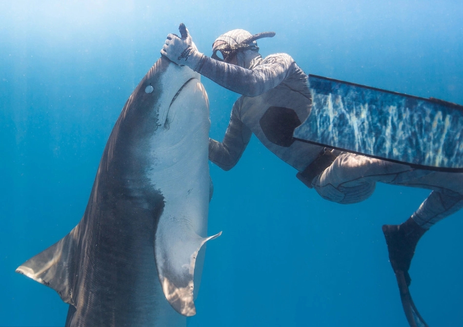 In a heartwarming feat of bravery, a fearless ocean explorer rescues a ...